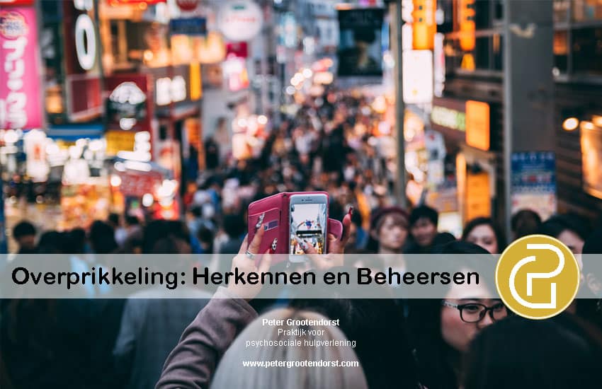 Overprikkeling: Herkennen en Beheersen - Peter Grootendorst