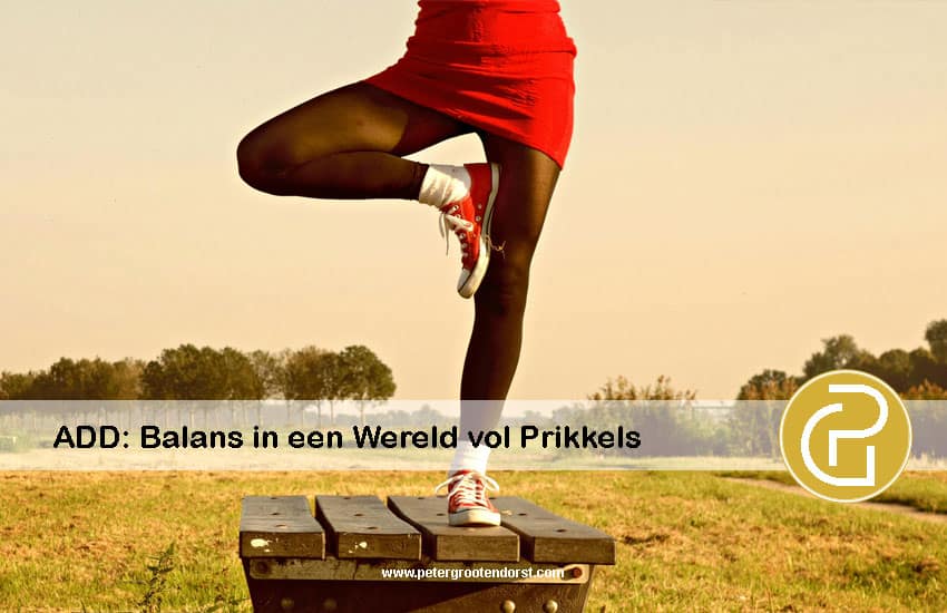 ADD: Balans in een Wereld vol Prikkels - Peter Grootendorst