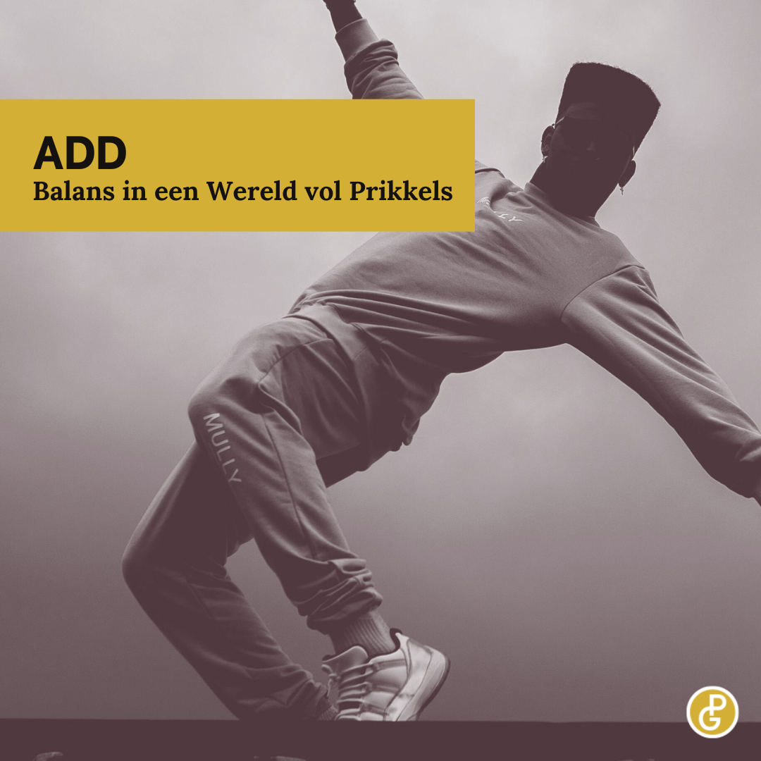 ADD: Balans in een Wereld vol Prikkels - Peter Grootendorst